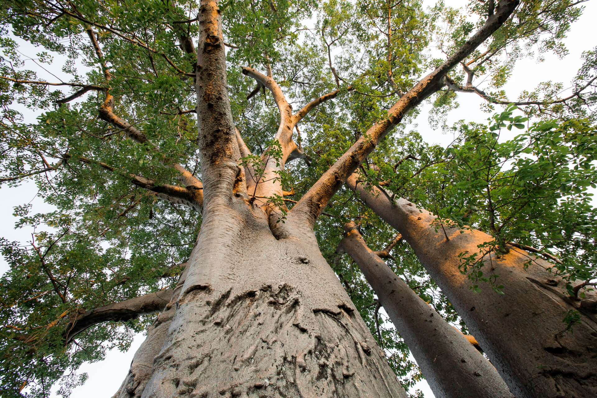 Our Story - Isibindi Foundation